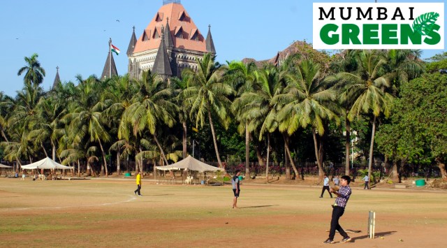 Mumbai Greens: Oval Maidan, where you can watch cricket in shadow of ...