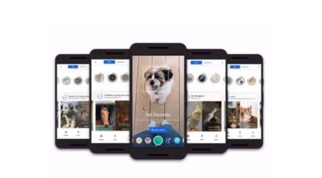 Google’s ‘Pet Portraits’ feature will allow you to find art look-alikes ...