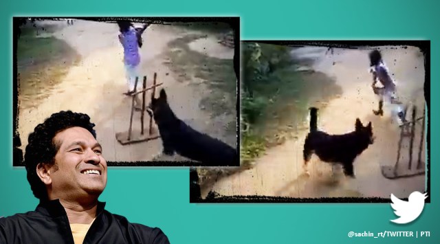 Sachin Tendulkar impressed by dog’s ‘sharp catching skills’, shares ...