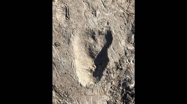 Tanzania footprints offer clues on origin of human upright walking ...