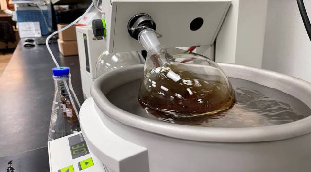 With lab help, whiskey distillers skip oak barrel-aging. But how does ...