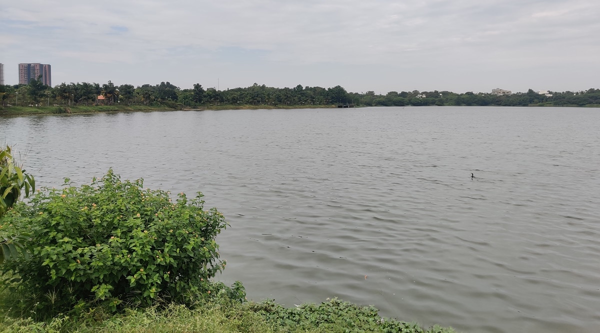 Only 20 Lakes In Bengaluru Free From Any Encroachments BBMP Report Bangalore News only-20-lakes-in-bengaluru-free-from-any-encroachments-bbmp-report-bangalore-news