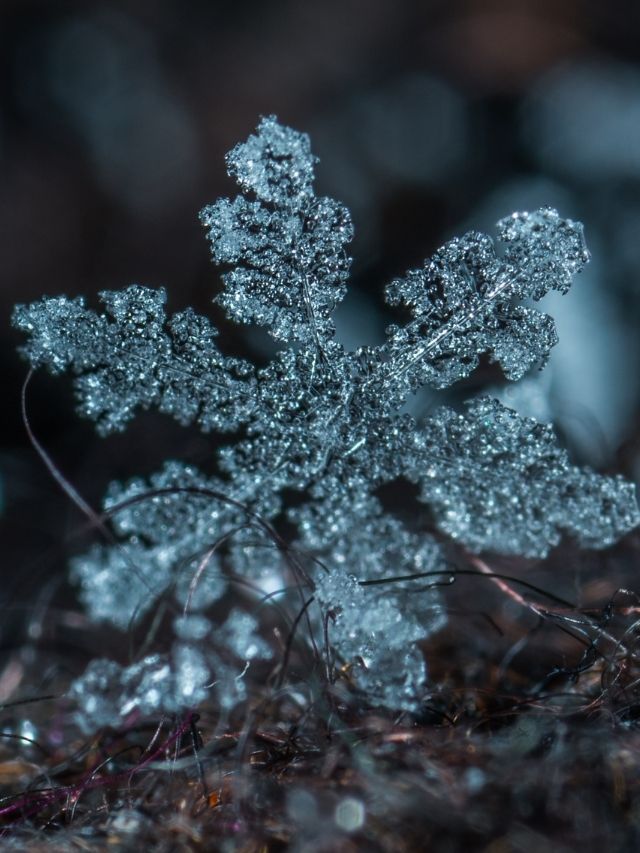 Cold-wave-Dos-and-donts-to-protect-yourself-as-shared-by-National ...