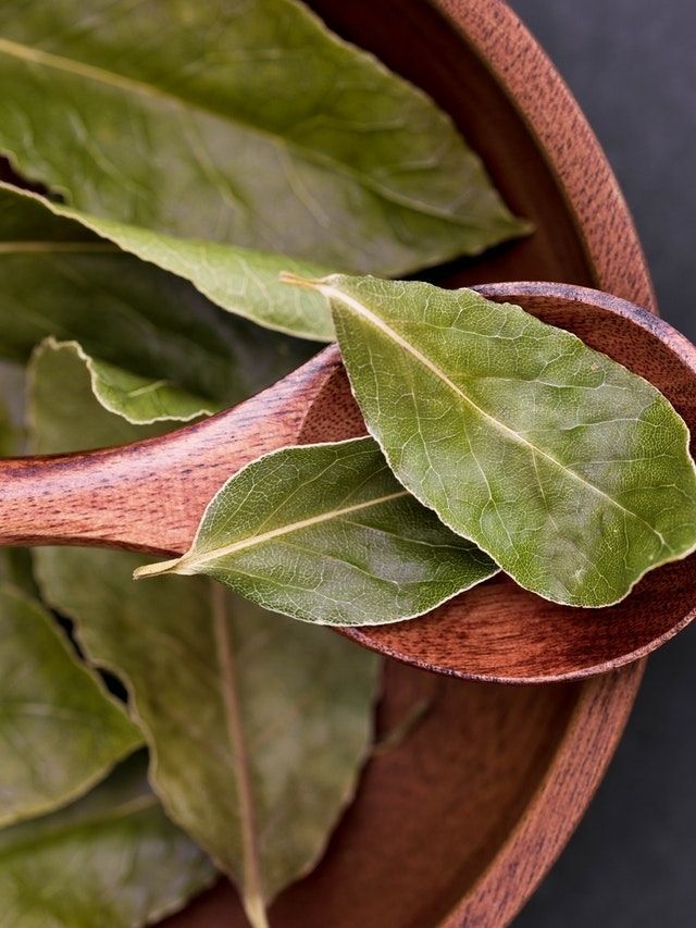 Here’s why you should include tej patta or bay leaf in your diet | The ...