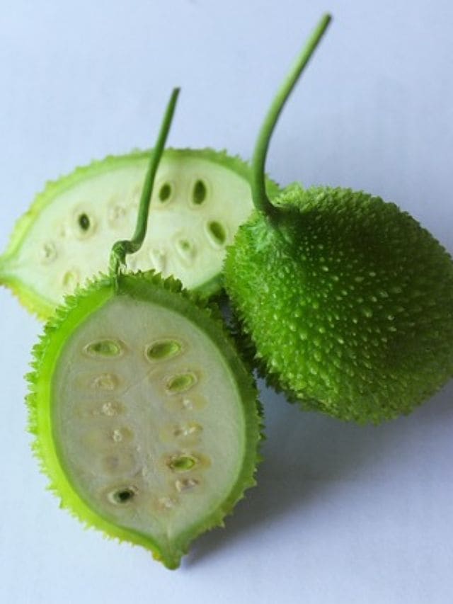 The many health benefits of the spiny gourd or kantola | The Indian Express