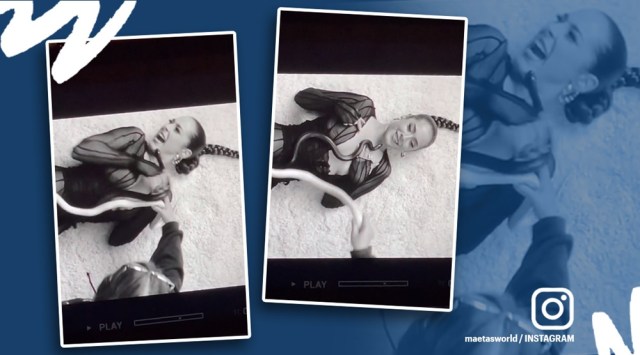 Rapper gets bitten by a snake as she shoots music video with the ...