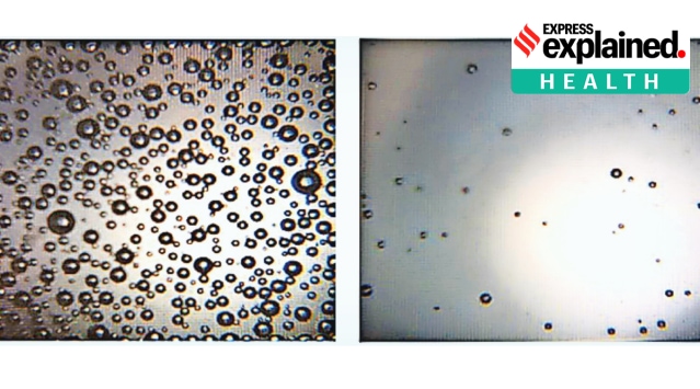 New research: A plant-based chewing gum that ‘traps’ coronavirus ...