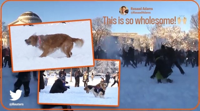 Washington residents pelt each other with snowballs in the ‘Battle of ...