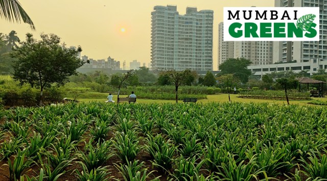 Mumbai Greens: From ‘nullah’ garden to Borivali’s ‘Palm Jumeirah ...