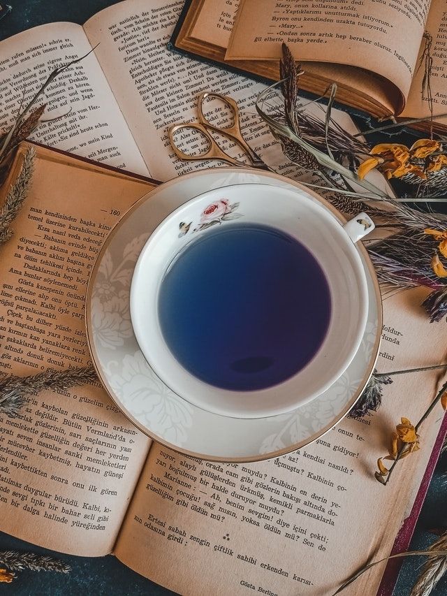 Know everything about blue tea | The Indian Express