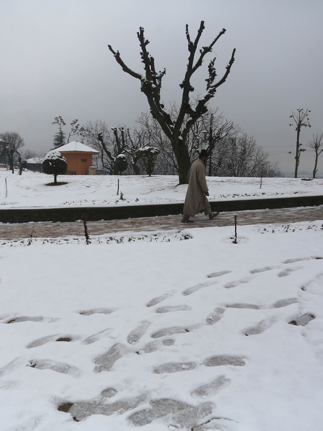 In pictures: Kashmir, Shimla receives fresh snowfall | The Indian Express
