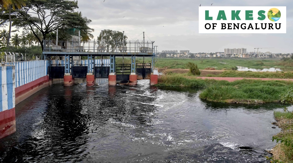 Lakes of Bengaluru: Slow rejuvenation work at Varthur raises concern ...