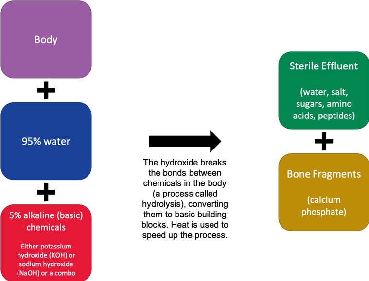 Explained: What is aquamation, the green alternative to cremation ...