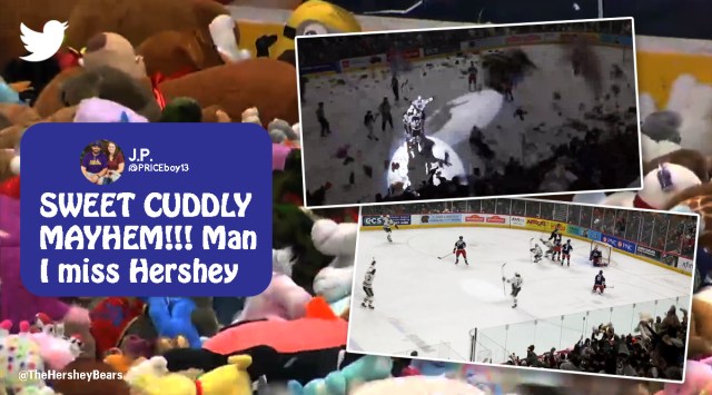 ‘Sweet, cuddly mayhem’: Fans throw thousands of teddy bears on ice ...