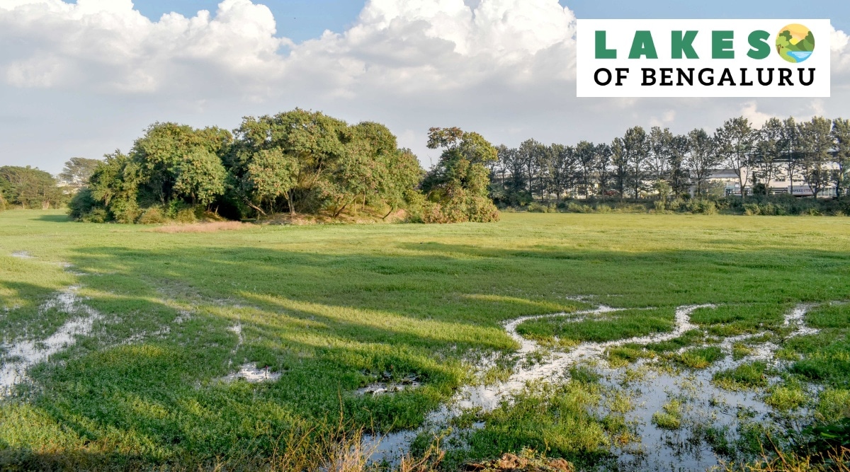 Lakes of Bengaluru: BMRCL fails to keep promise made 10 years ago ...