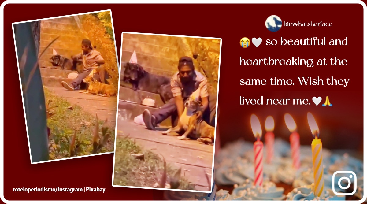 ‘Heart of gold’: Homeless man goes viral after celebrating dogs ...