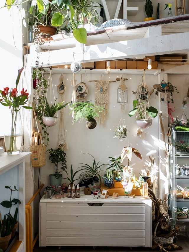 Ideas to add a touch of greenery to your home | The Indian Express