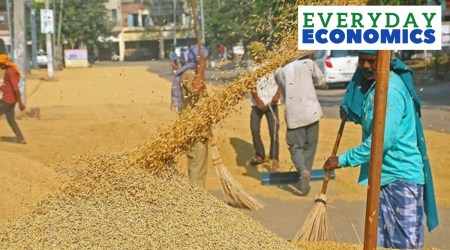 Msp: News, Photos, Latest News Headlines about Msp - The Indian Express