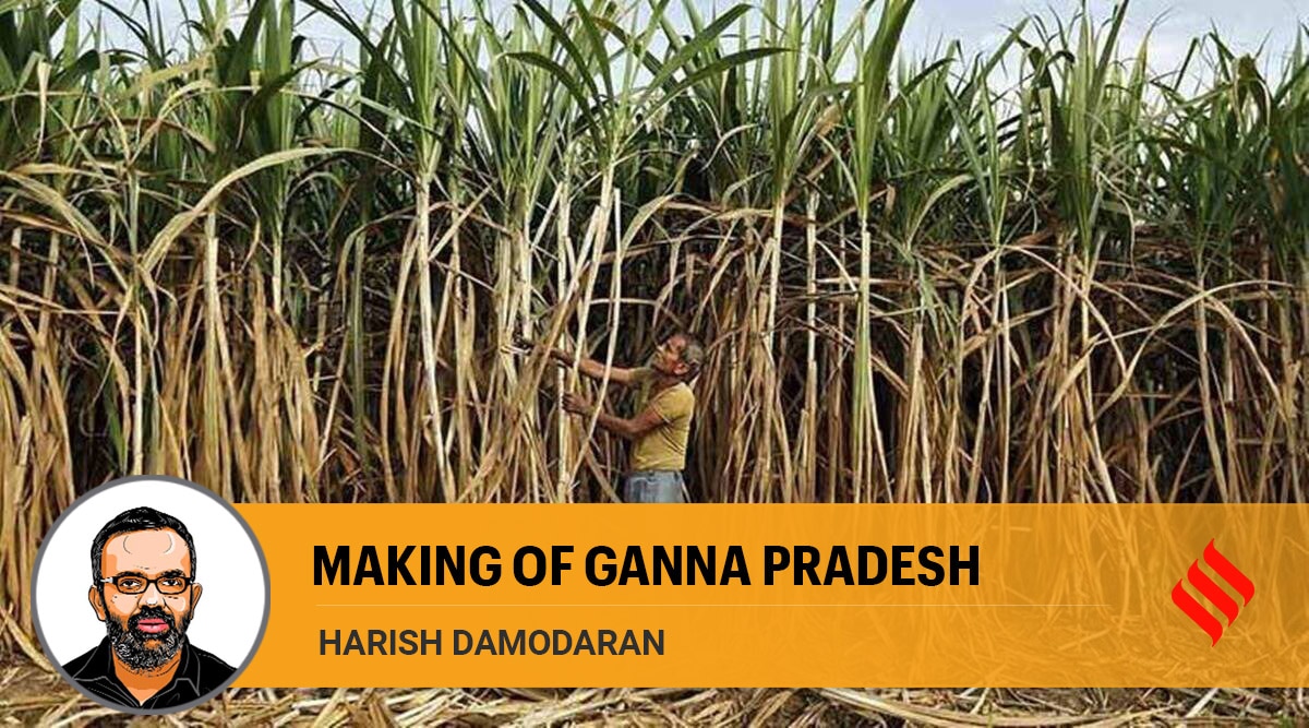 Harish Damodaran writes: Uttar Pradesh is Ganna Pradesh