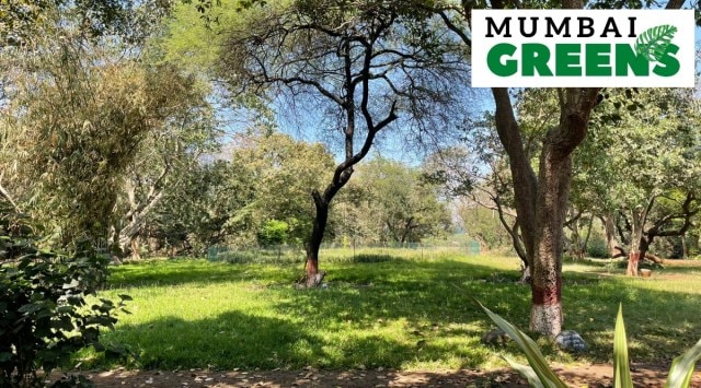 Mumbai Greens: Maharashtra Nature Park, a place to gather your thoughts