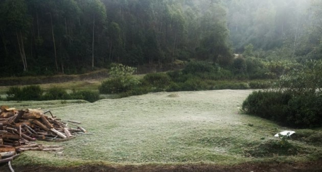 Frost in Munnar as temperature dips below zero | India News News - The ...