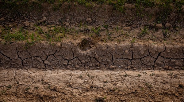 Conflict and climate change ravage Syria’s agricultural heartland ...