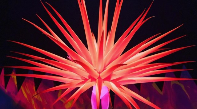 Bizarre fashion: When Jack Irving Studio’s tentacled costumes stunned ...