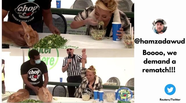 Woman vs rabbit: Competitive eater beats two Flemish Giants in salad ...