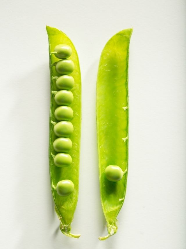 Pea protein: Benefits, uses and more | The Indian Express