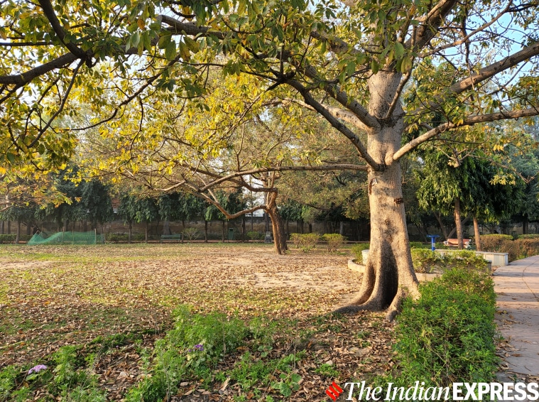 Samsung Galaxy S22 Plus review