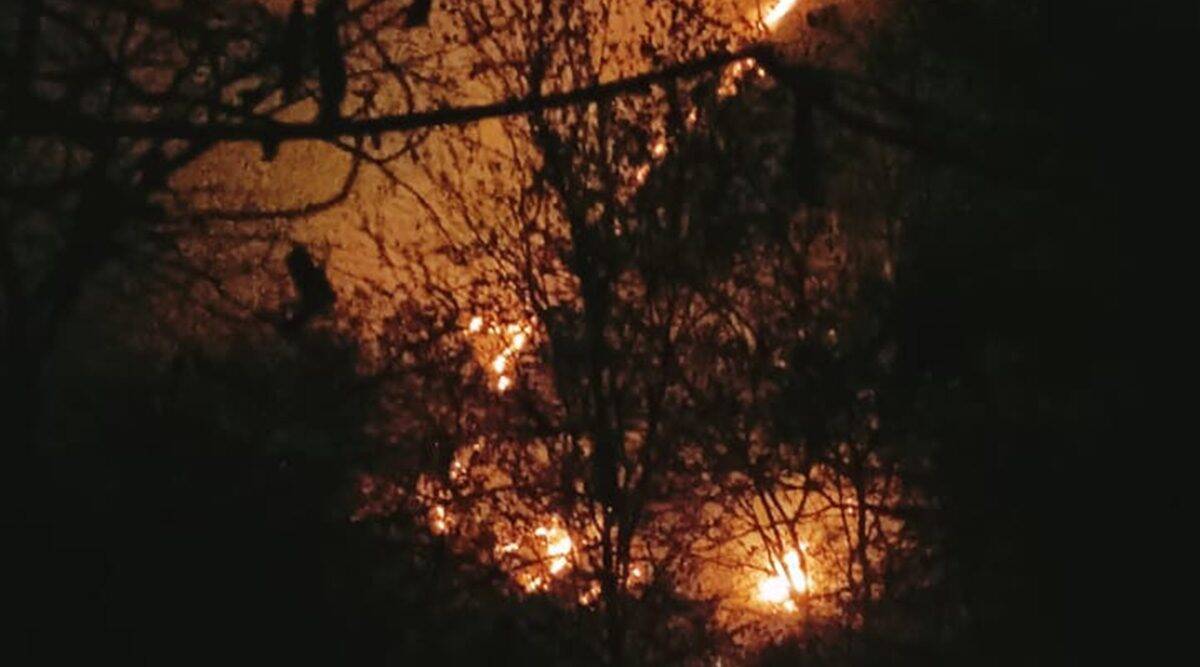 Major fire in Sariska reserve; officials say may be doused today ...