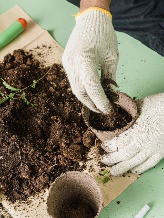Simple ways to preserve soil | The Indian Express