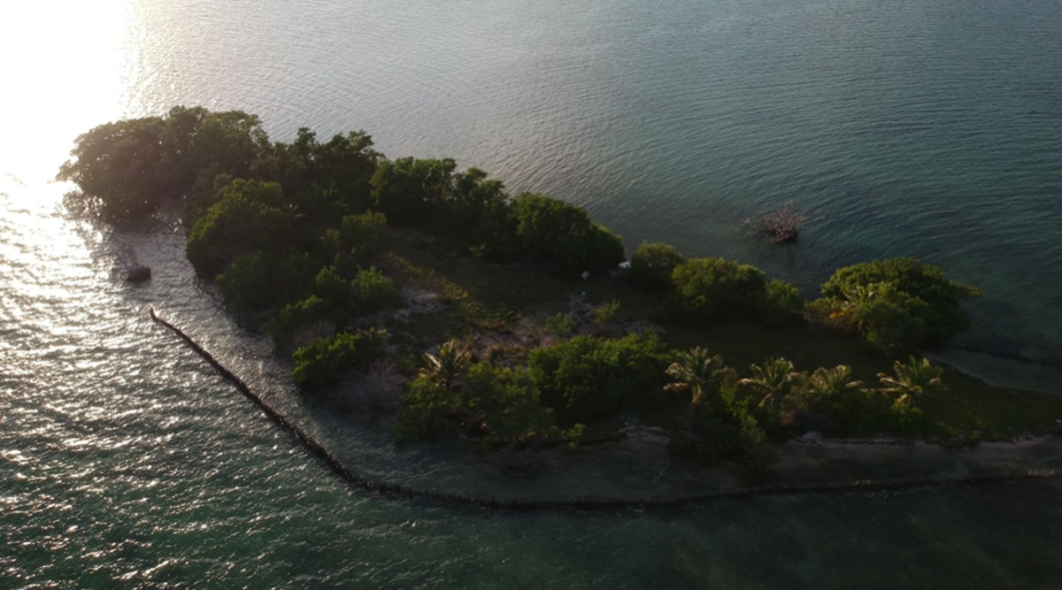 Coffee Caye: Investors buy the Caribbean island to start their own ...
