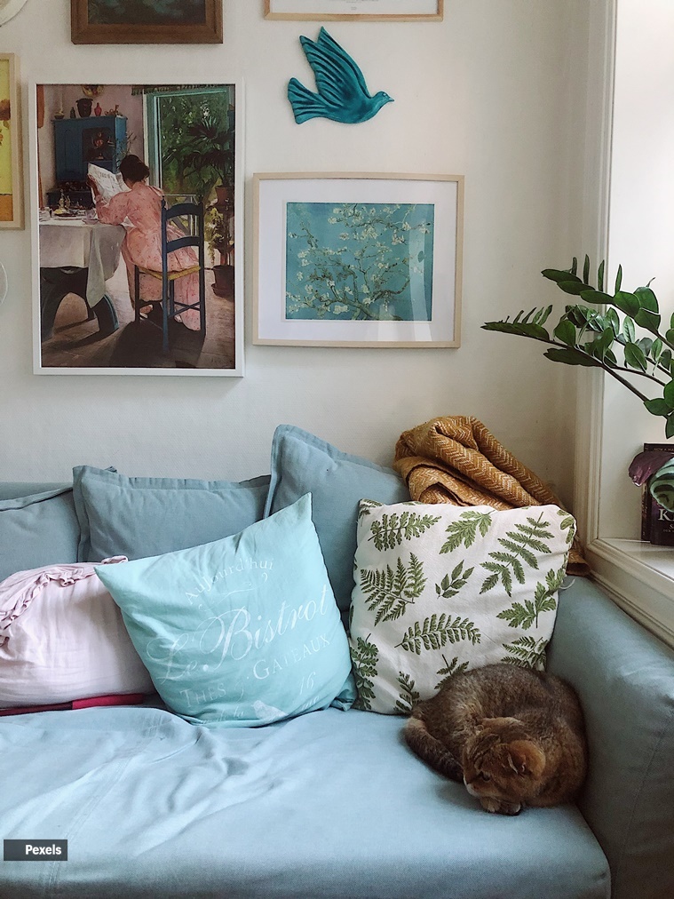 5 innovative ways to spruce up your home | Life-style News - The Indian ...