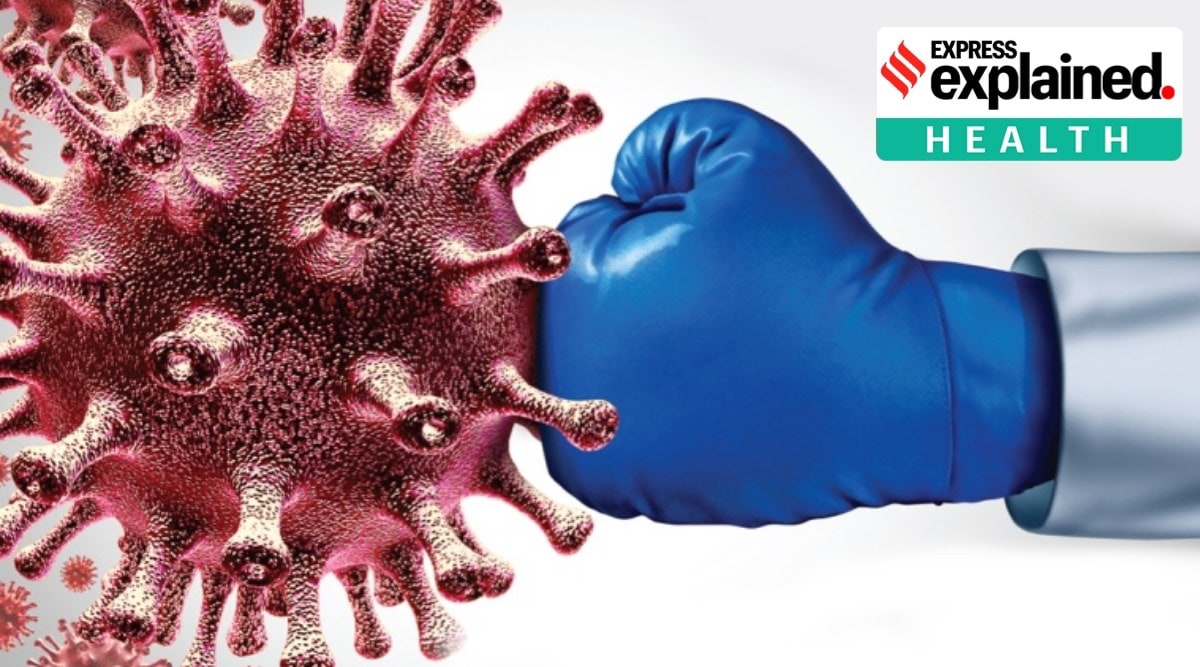 What is Corbevax vaccine for Covid-19, and how does it work?