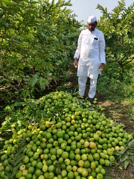 Backward, forsaken Parbhani now pays among highest for fuel in India ...