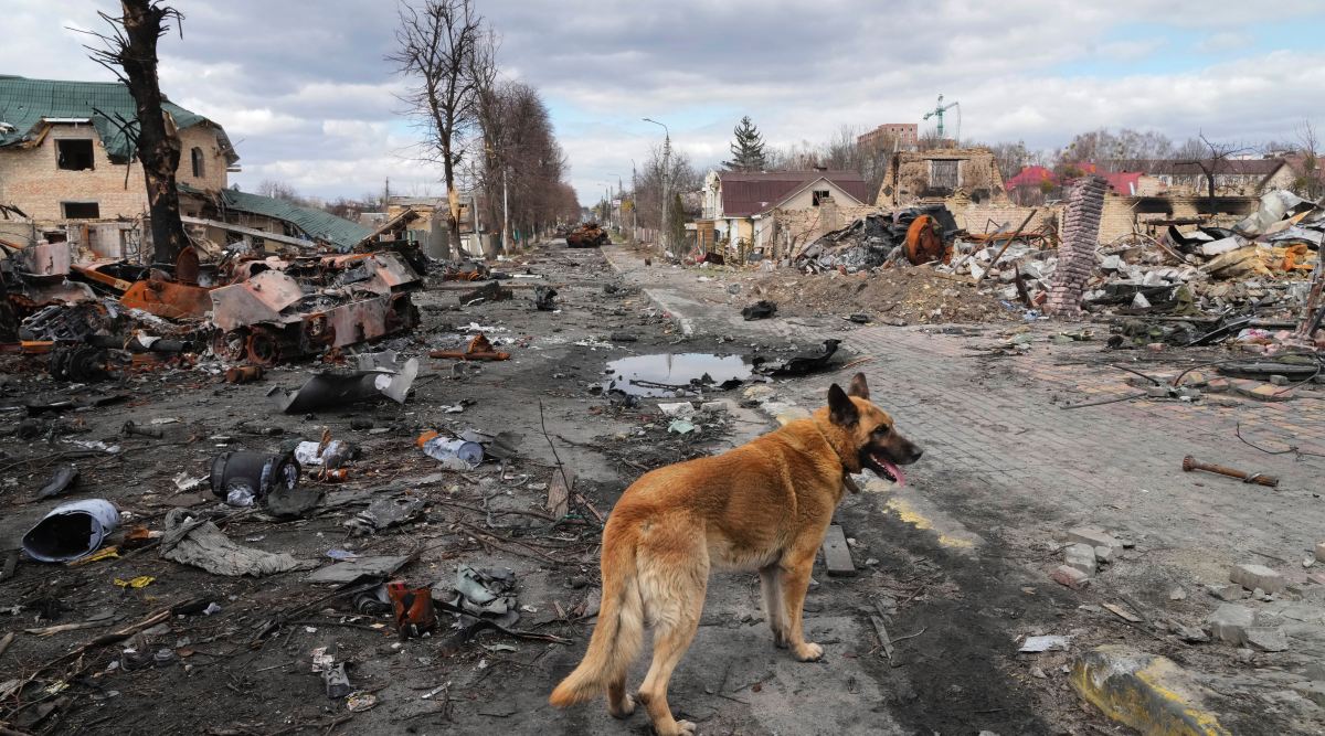 Explained: What happened in Ukraine’s Bucha, and was it ‘genocide ...