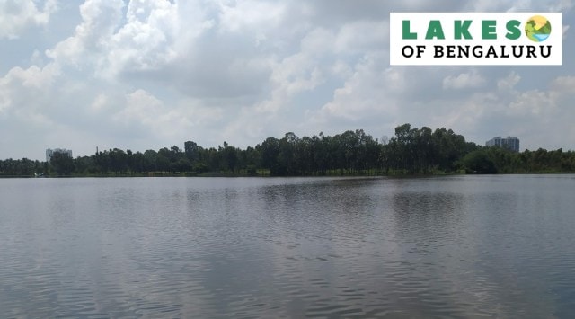 Lakes of Bengaluru: Zilla panchayat fails to protect Gattahalli lake ...