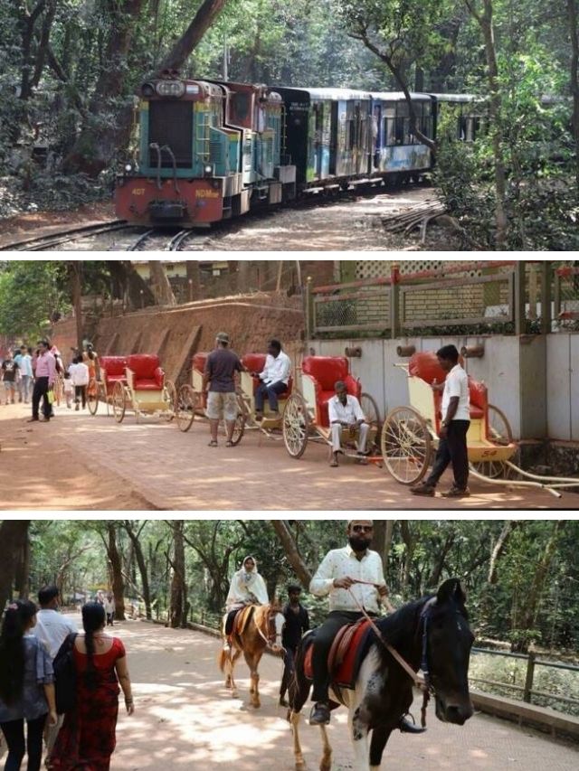Here’s why you should visit Matheran hill station | The Indian Express