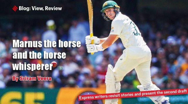 View Review: Marnus the horse and the horse whisperer | Cricket News ...