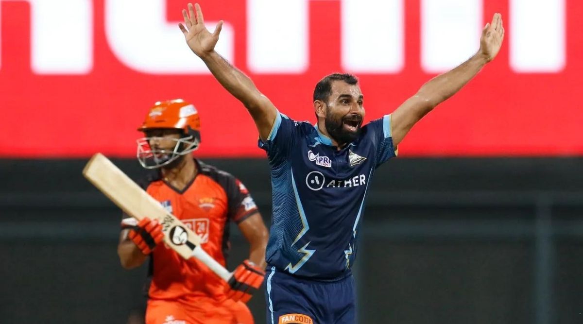 IPL 2022: How Shami celebrated a wicket sitting in the dugout | Ipl ...