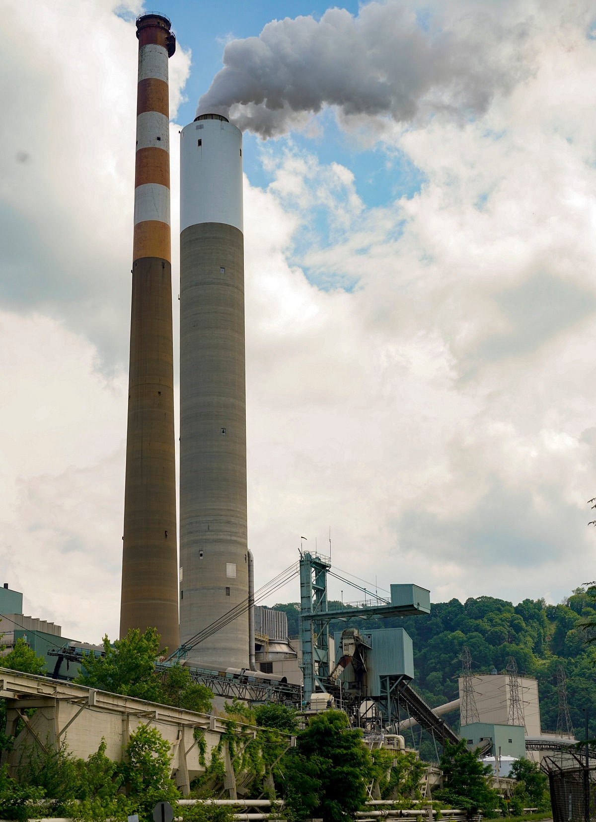 Explained: Can climate change be solved by pricing carbon? | Explained ...