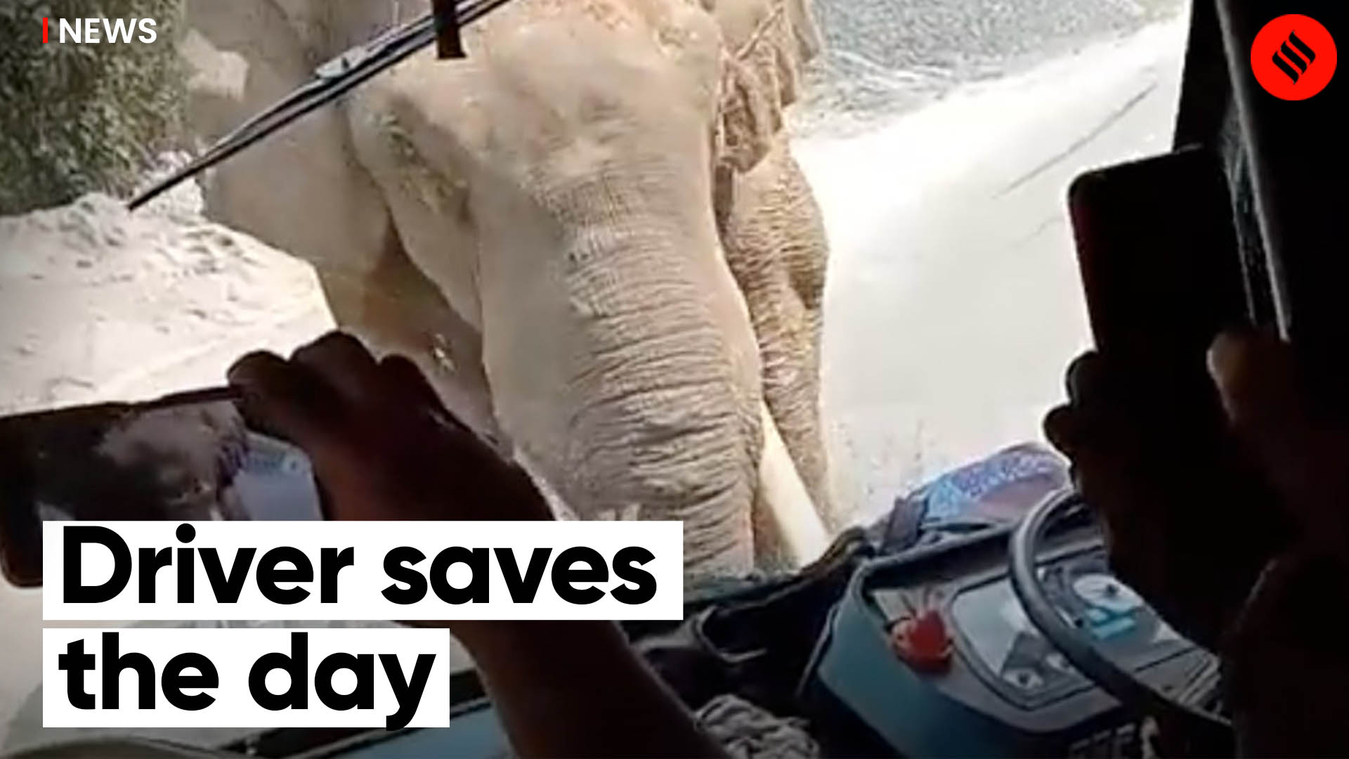 Wild elephant charges towards a bus in kerala driver maintains cool-The ...