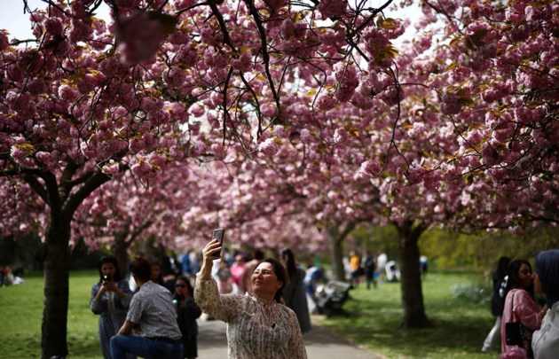 Must see spring season pictures from around the world | Lifestyle ...