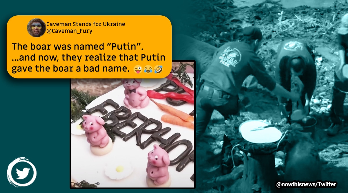 German wildlife park renames boar named Putin in solidarity with ...