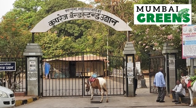 Mumbai Greens: Cooperage Bandstand Garden playing host to cultural ...