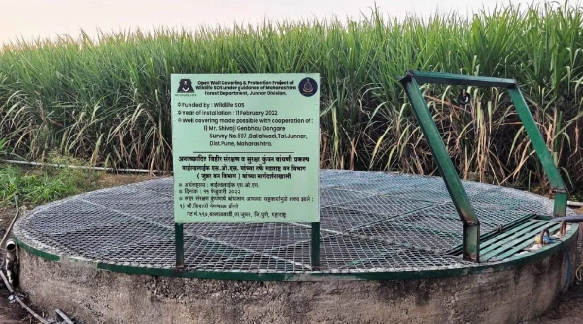 Wildlife SOS partners with villagers, forest dept to cover open wells ...