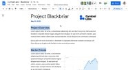 Google Docs Will Let Allow Users multi select Separate Sections Of