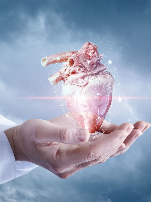 Indications of compromised heart health during summers | The Indian Express