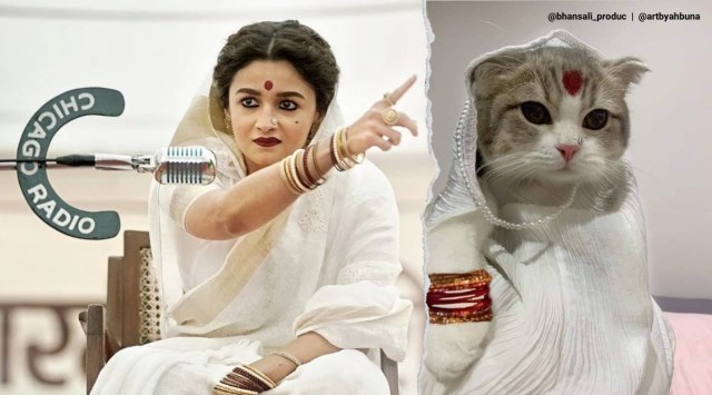 ‘Gangubai Cathiawadi’: A feline dressed as Alia Bhatt is melting hearts ...